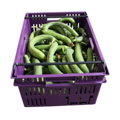 Agricultural Harvesting Container, agricultural crates, harvest crates